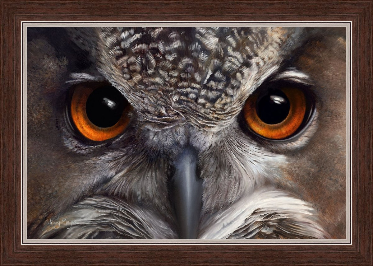 Night Vision - European Eagle Owl by Hilary Mayes – Art Ramka Inc.